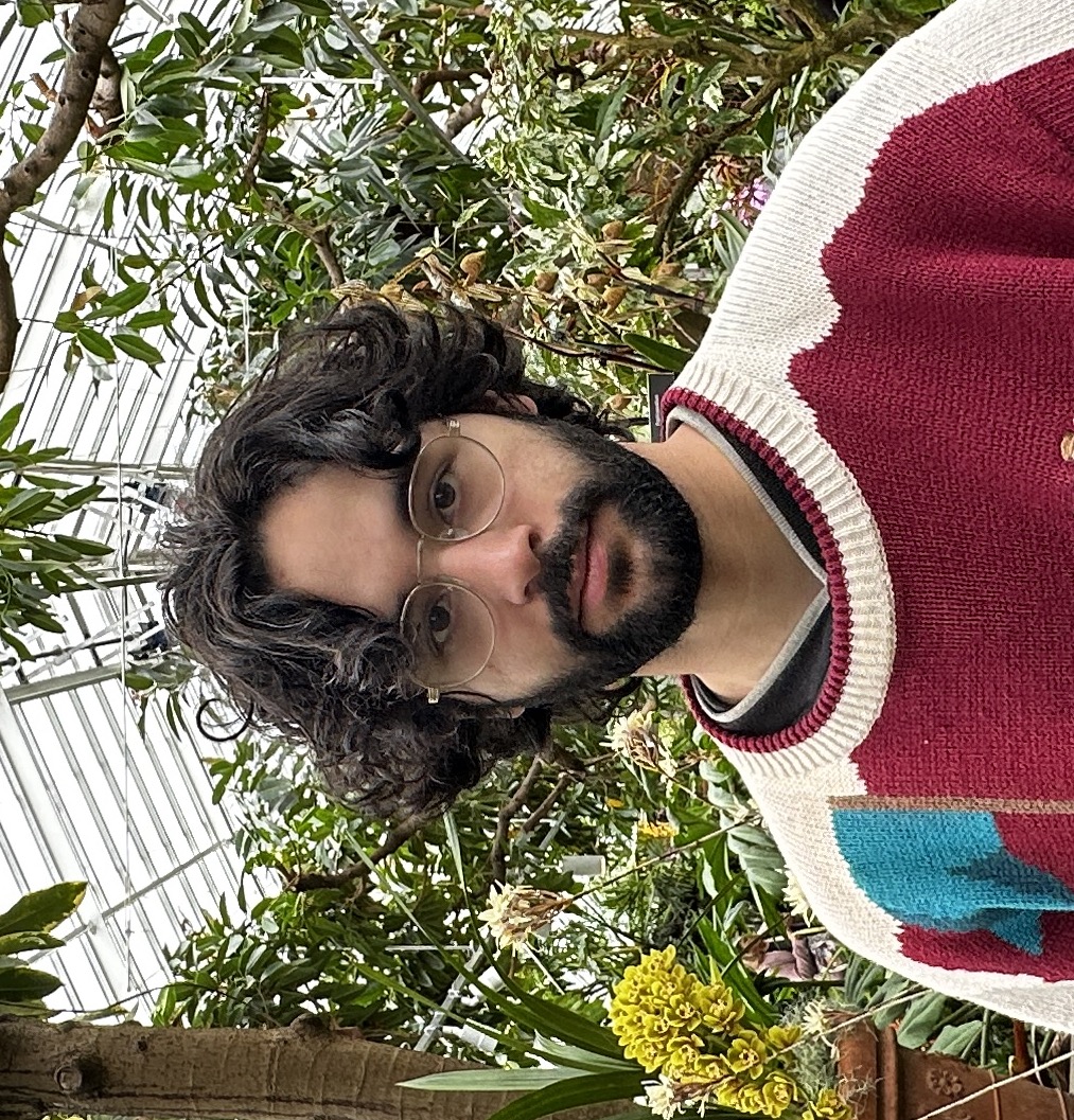 Noel Barnes' Portfolio